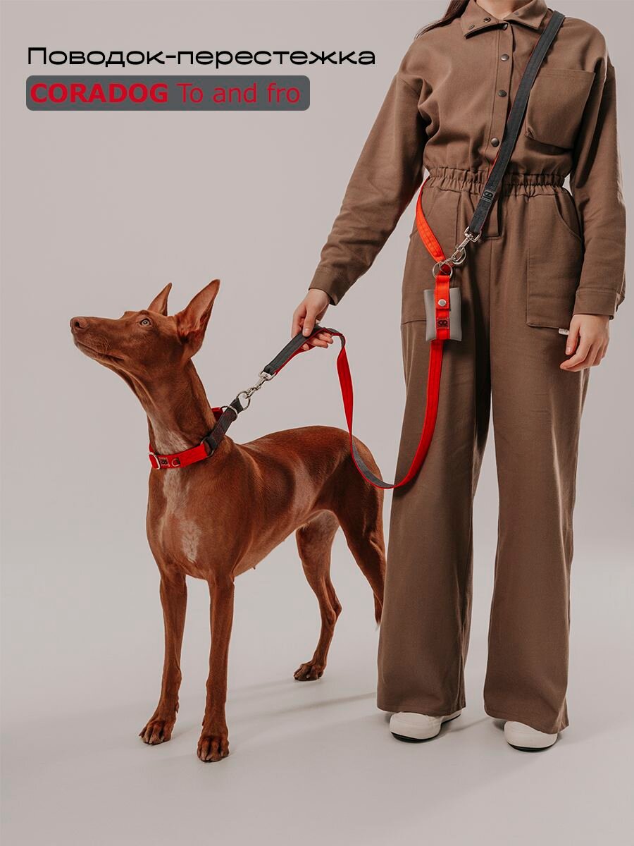 Поводок-перестежка для средних и крупных собак с ручкой контролем и подвижным кольцом, hands free - свободные руки, CORADOG To and fro, длина 2,5 м, цвет красный, серый