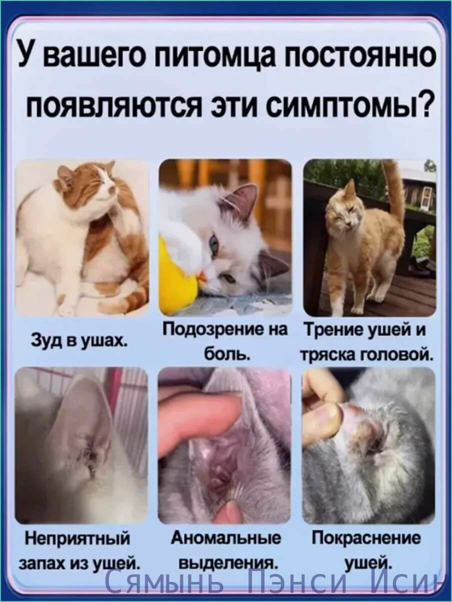 Капли для животных — фото 1
