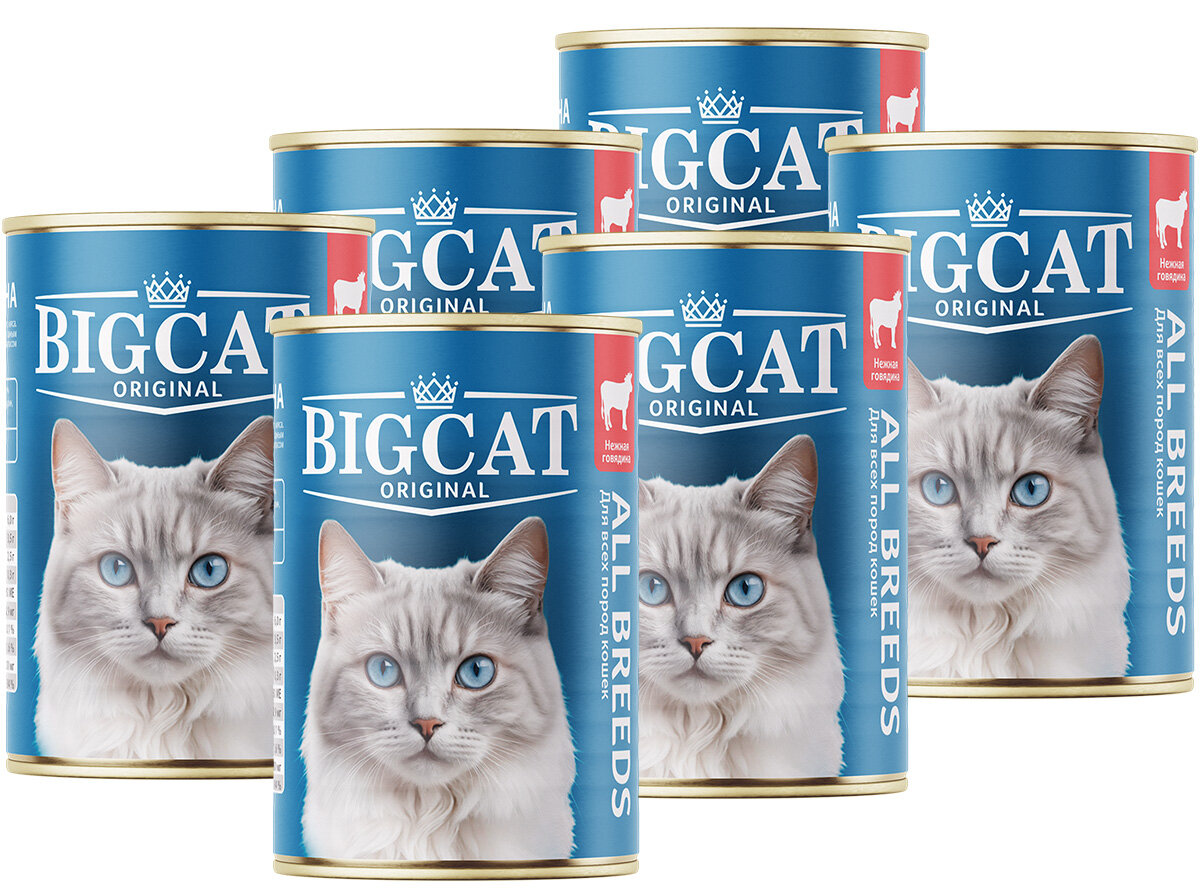 Корм влажный Зоогурман Big Cat для взрослых кошек, говядина в желе, 350 г х 6 шт
