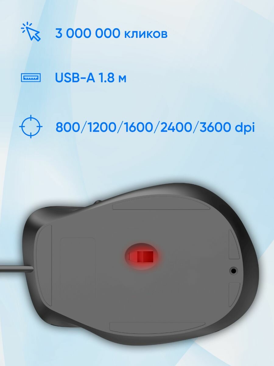 Мышь Оклик 504M черный/серый оптическая (3600dpi) silent USB (6but)