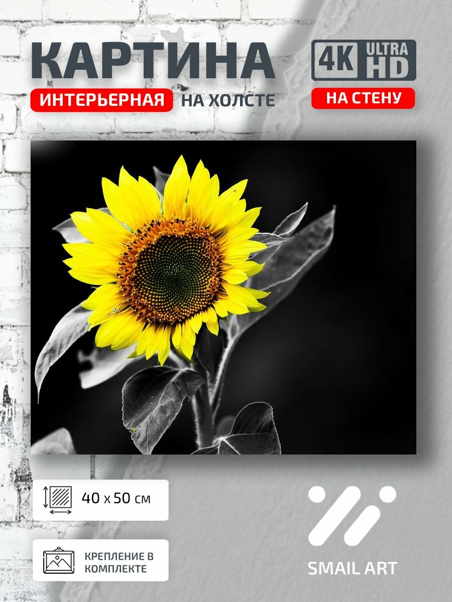 Картина на холсте интерьерная 40 на 50 на стену Подсолнечник sunflower для спальни пейзаж