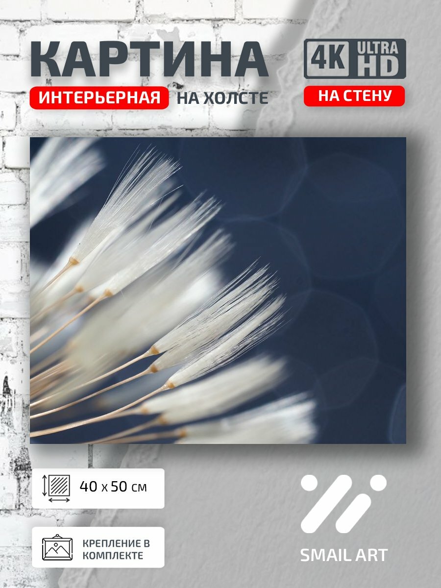 Картина на холсте интерьерная 40 на 50 на стену Пушинка Macro для спальни макро интерьер