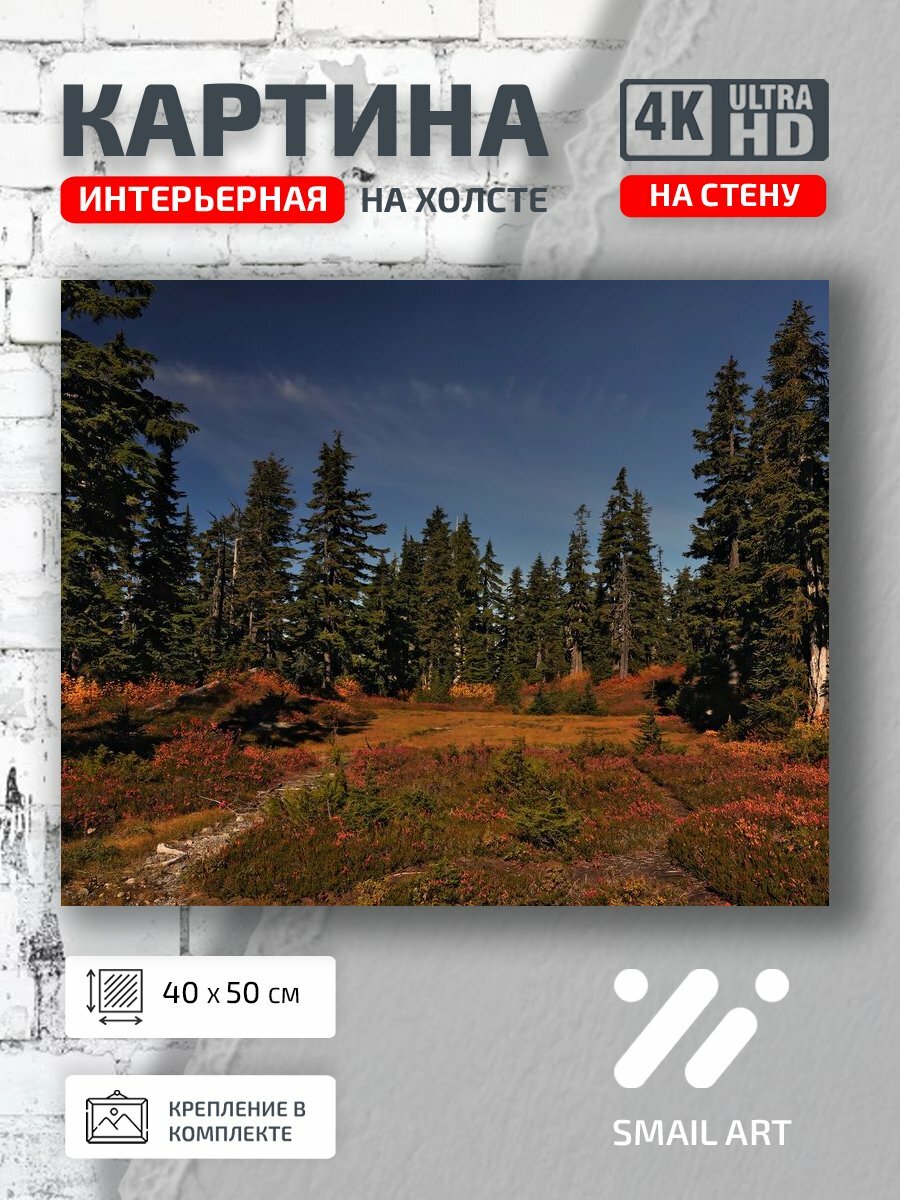 Картина на холсте интерьерная 40 на 50 на стену Сосны Landscape для спальни пейзаж интерьер