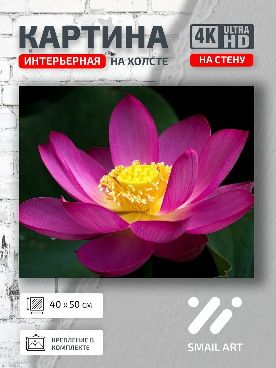 Картина на холсте интерьерная 40 на 50 на стену Фиолетовый Mood для гостиной атмосфера