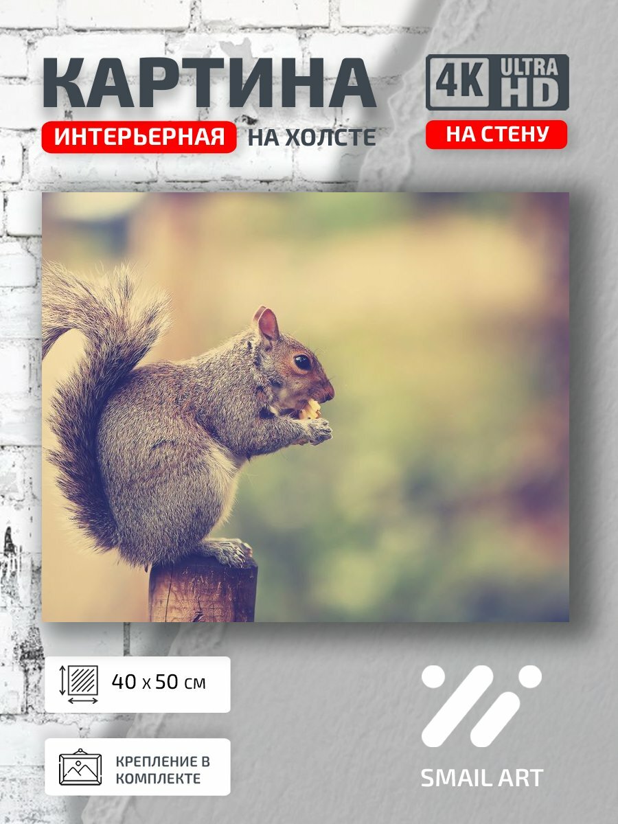 Картина на холсте интерьерная 40 на 50 на стену Пеньке protein для гостиной атмосфера декор