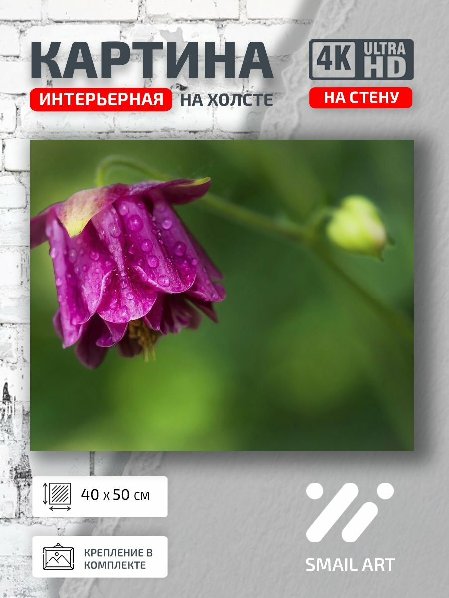 Картина на холсте интерьерная 40 на 50 на стену Капли Macro для офиса макро интерьер декор