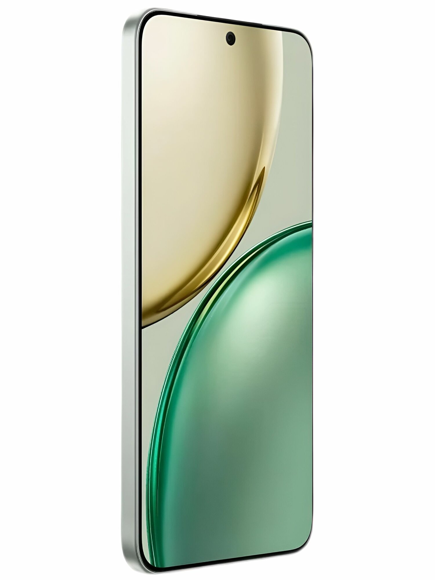 Смартфон Honor X9d 8/256 Forest Green — фото 1