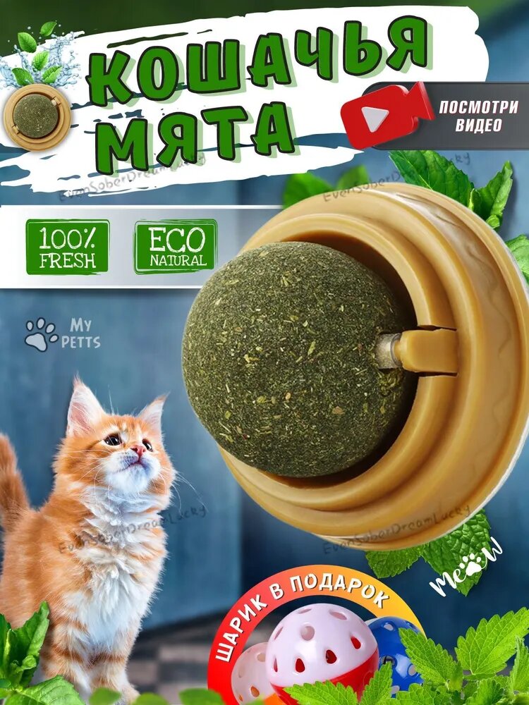 Кошачья мята шарик на стену леденецxu