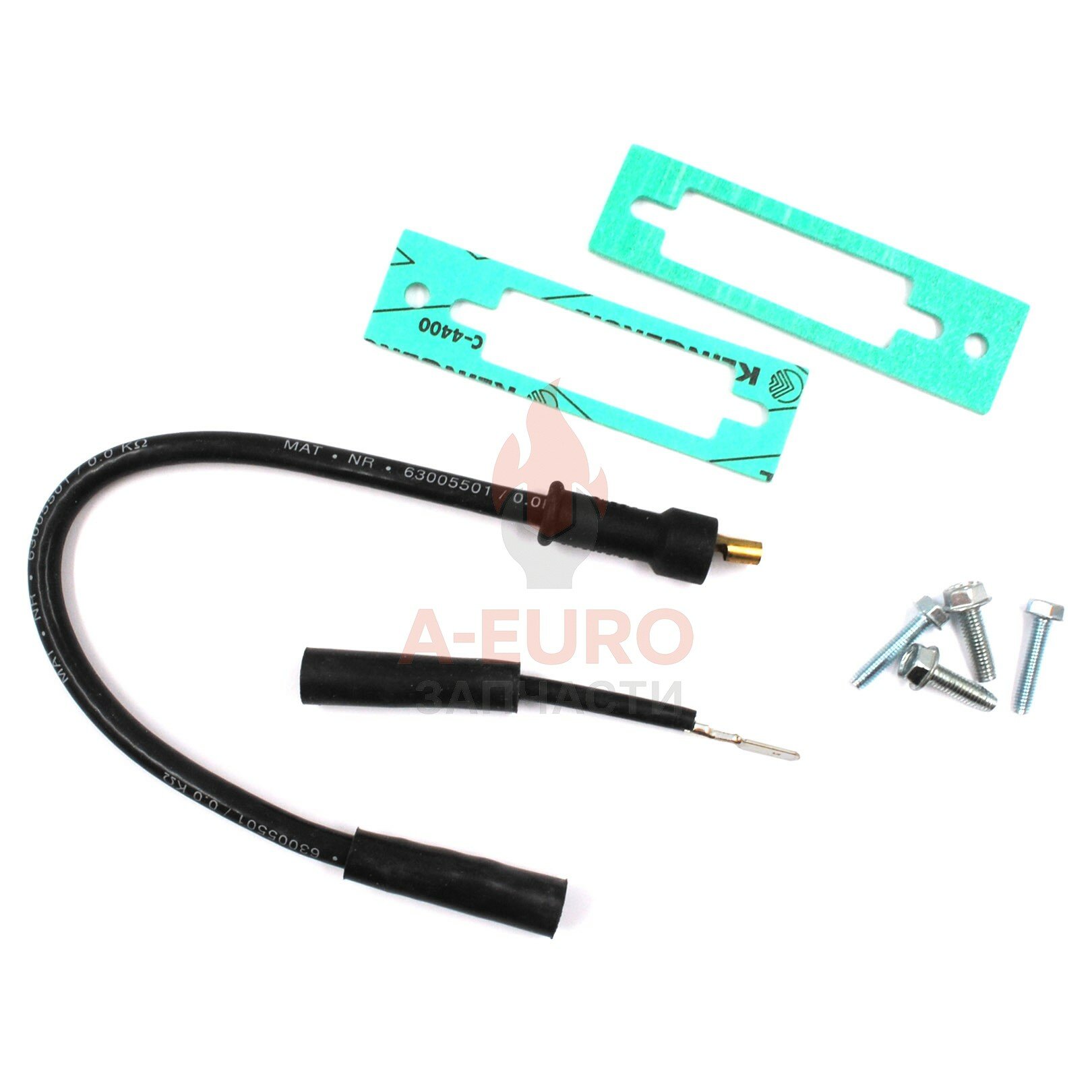 Запальное устройство Buderus 63006225 АЕ сервисный комплект