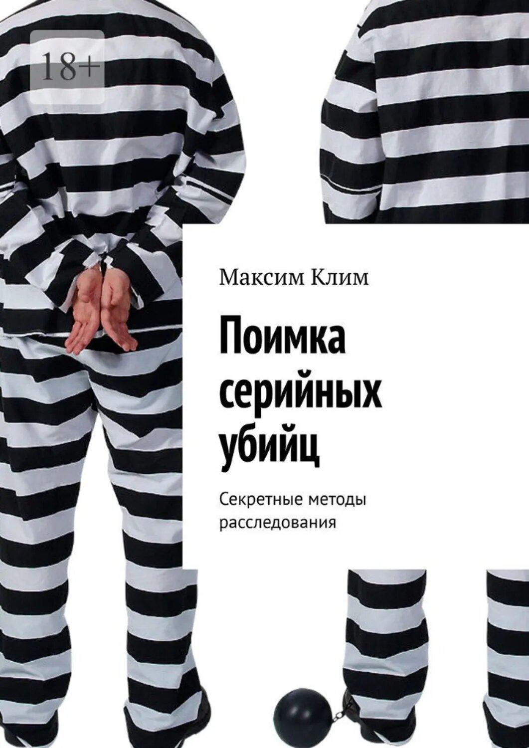 Поимка серийных убийц. Секретные методы расследования [Цифровая книга]