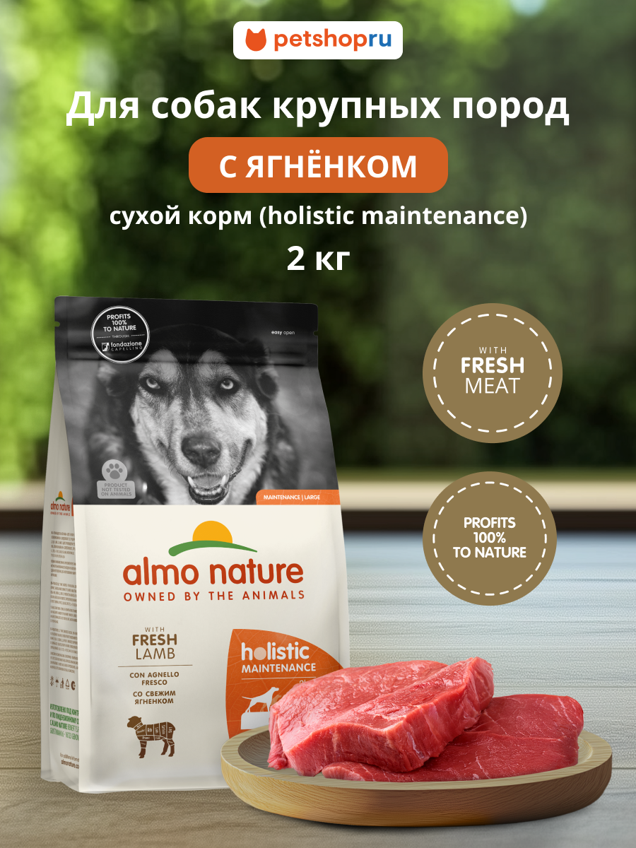ALMO NATURE HOLISTIC Сухой корм для взрослых собак крупных пород со свежим ягненком, Life Maintenance, Large Breed, Fresh Lamb, 2 кг