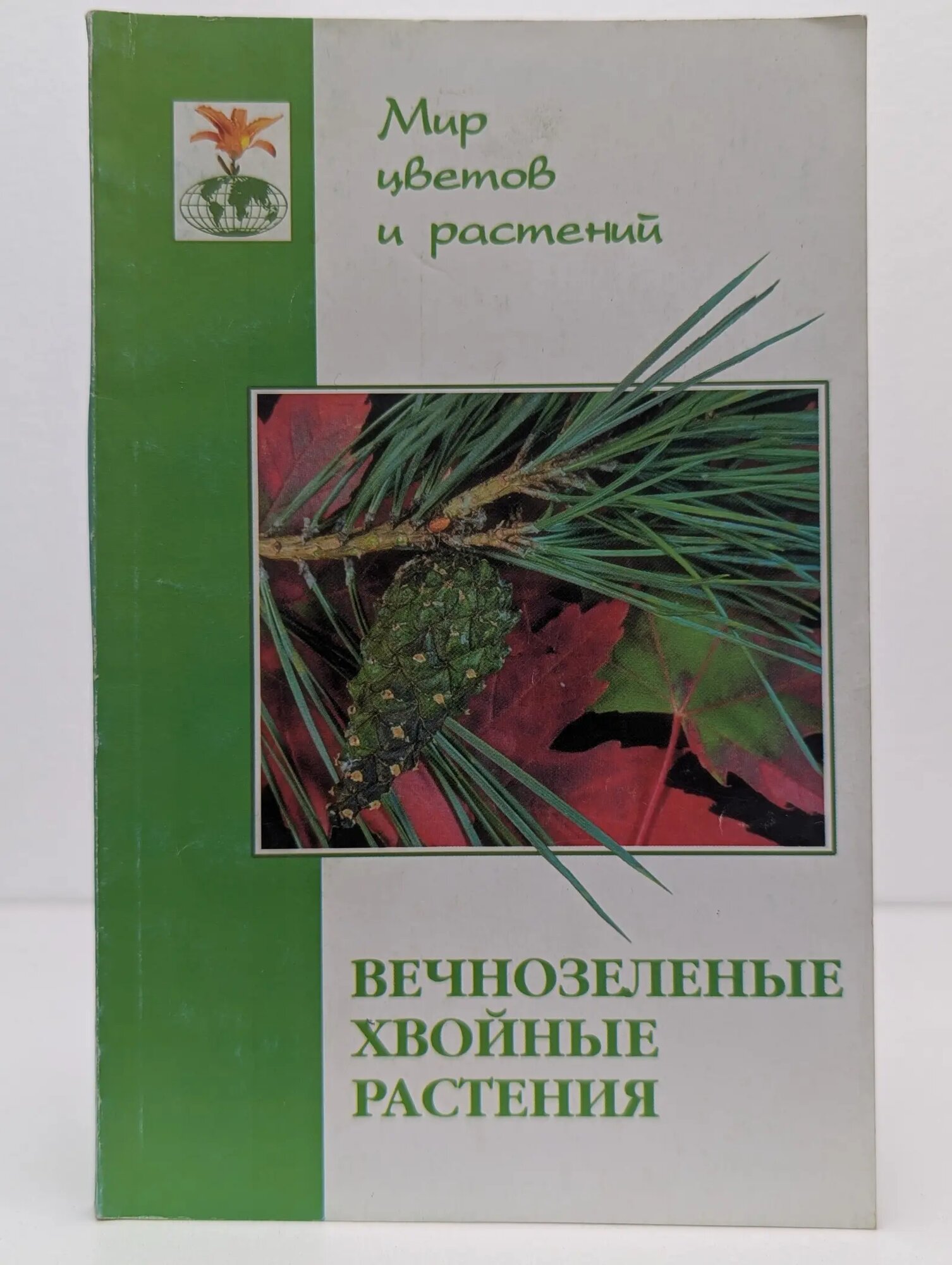 Вечнозеленые хвойные растения Карпов Алексей Александрович 2004
