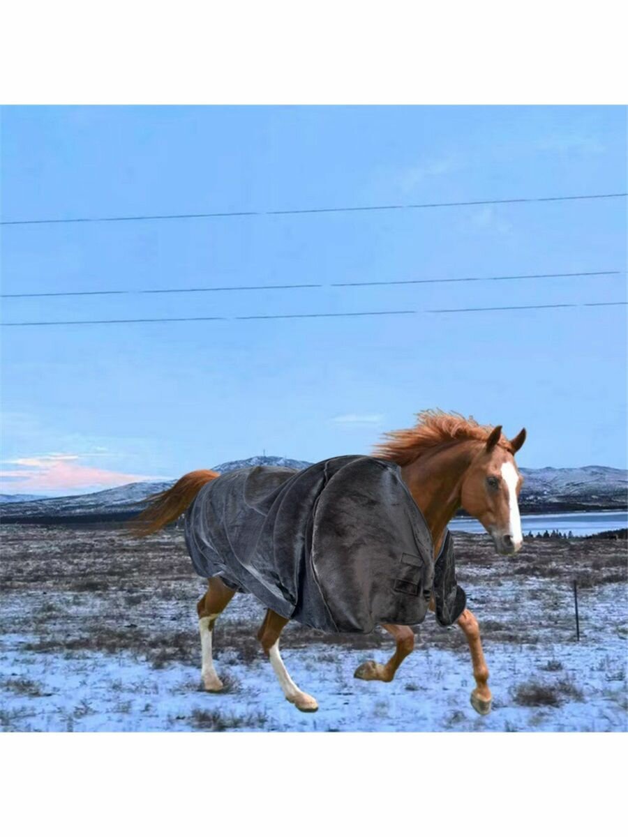 Попона для лошади — фото 1