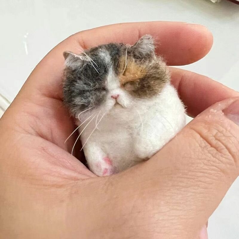 Набор для рукоделия из шерстяного войлока для начинающих, креативный набор для пары животных