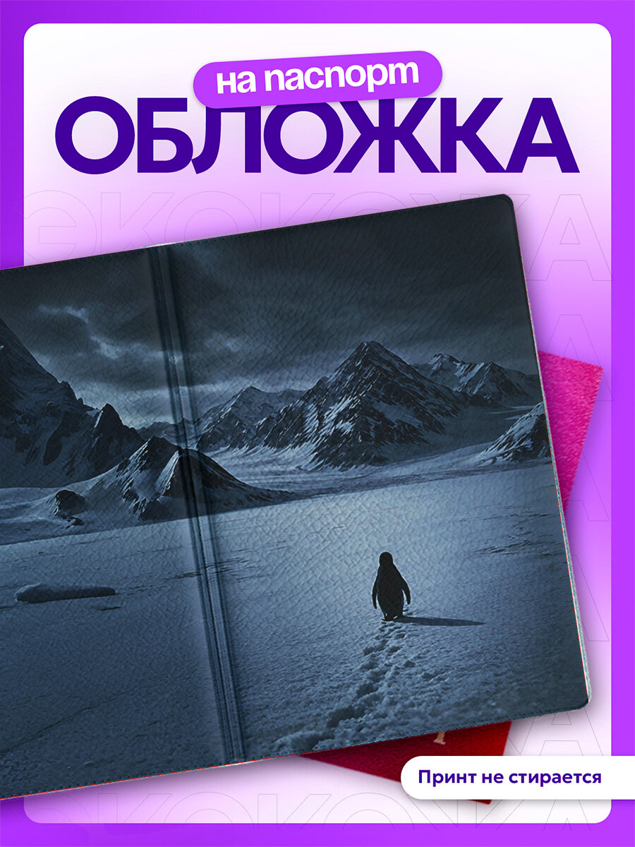 Обложка для паспорта