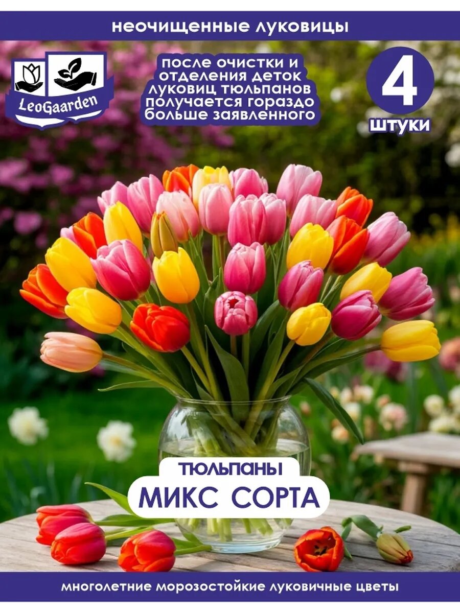 Тюльпан Луковицы неочищенные, Микс сортов, 4 шт