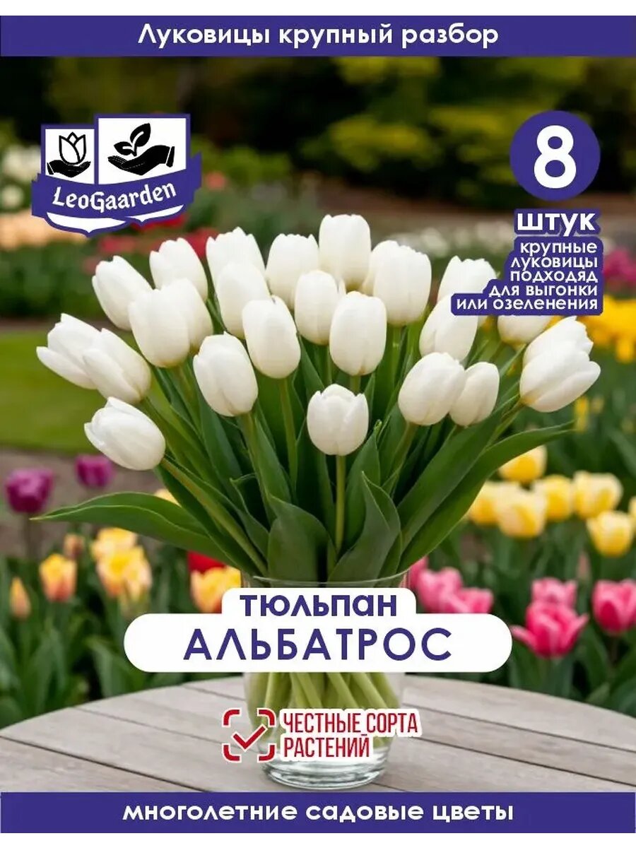 Тюльпан Альбатрос 8 луковиц крупных