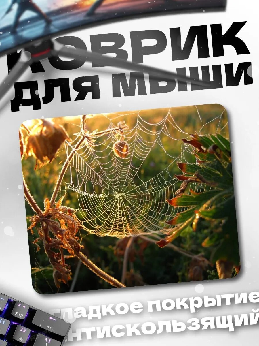 Коврик для мыши Паутина роса утро