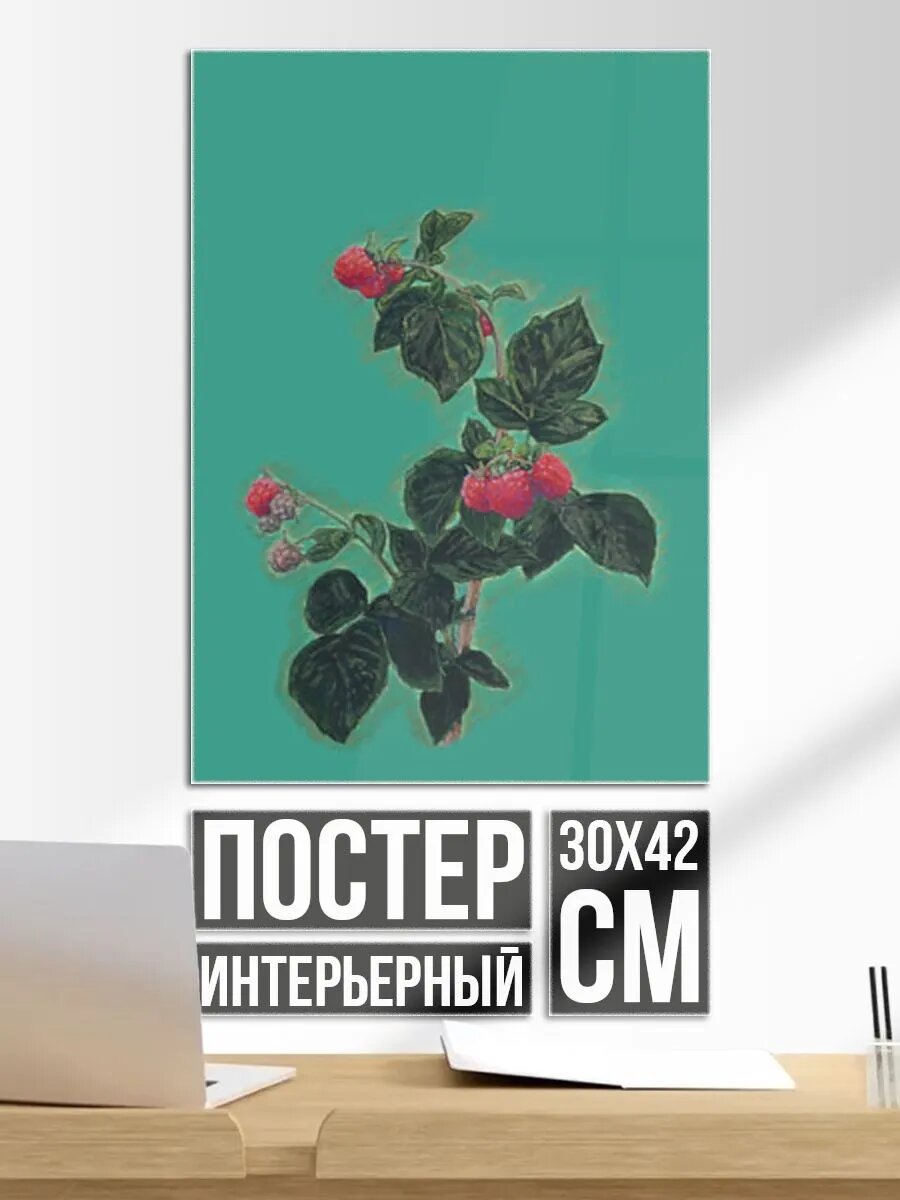 Постер на стену Малина на бирюзовом