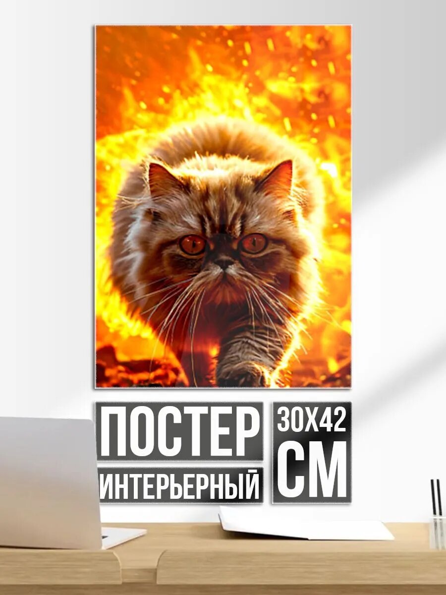 Постер на стену Персидская кошка в огне