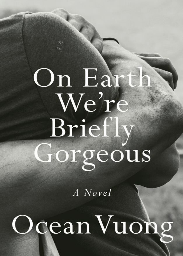 On Earth We're Briefly Gorgeous: A Novel Reprinted books