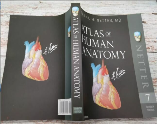 Atlas of Human Anatomy (Netter Basic Science)7th Reprinted books
