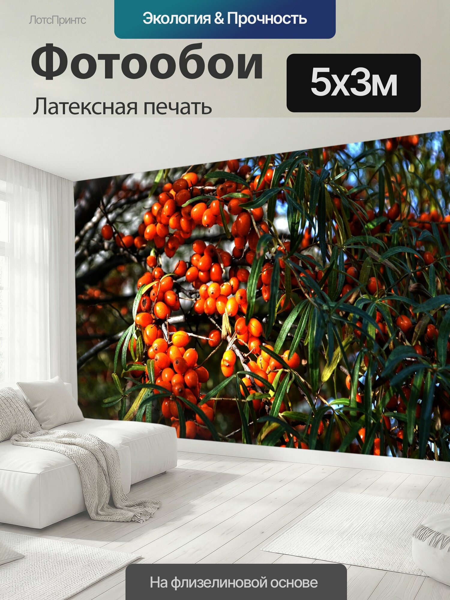 Фотообои моющиеся ударопрочные "Облепиха, природа, плоды деревьев" 500x300 см. латексная печать