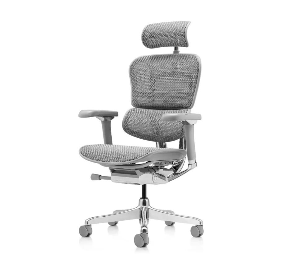 Кресло компьютерное Ergohuman Luxury 2 (серый каркас, серая сетка, подлокотники 5D)