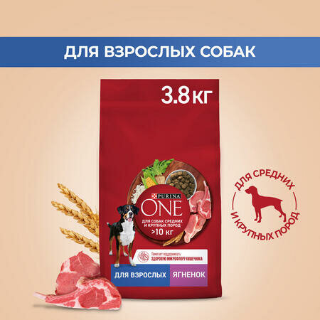 Purina ONE 10 кг сухой корм для собак, для взрослых собак средних и крупных пород, с ягненком и рисом