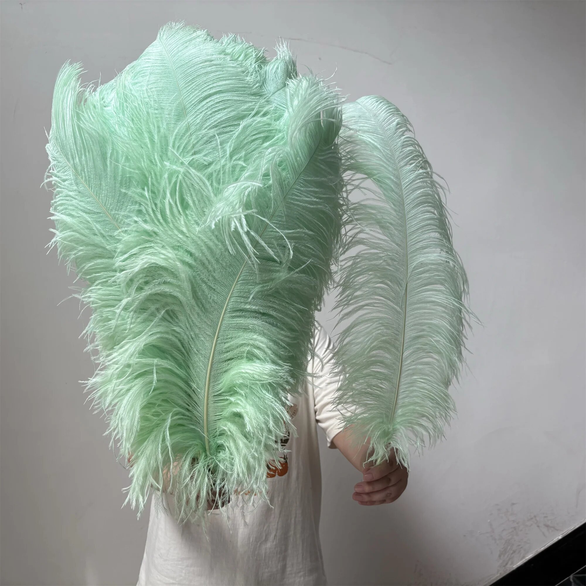 Страусиные перья WqlcraftS 15-60 см, набор из 10 штук 15-20cm 6-8inch, Зеленый, Mint Green