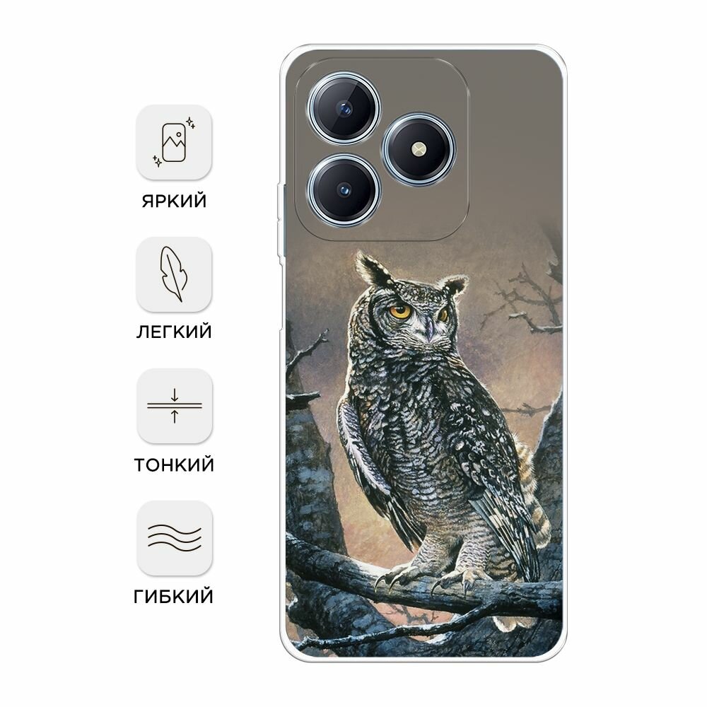 Силиконовый чехол на Realme C63 / Реалми С63 с принтом "Сова арт 5" — фото 1