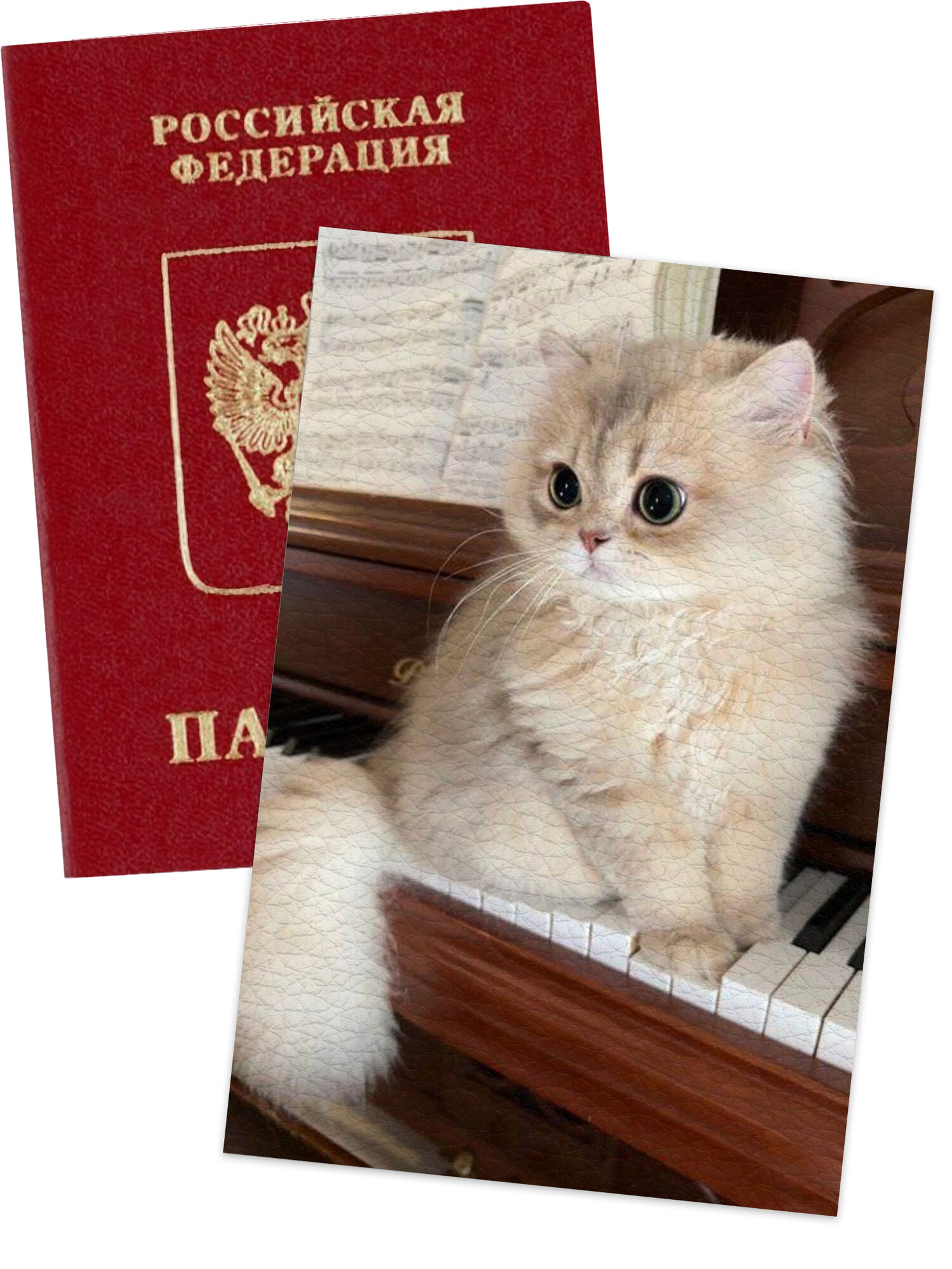 Обложка для паспорта