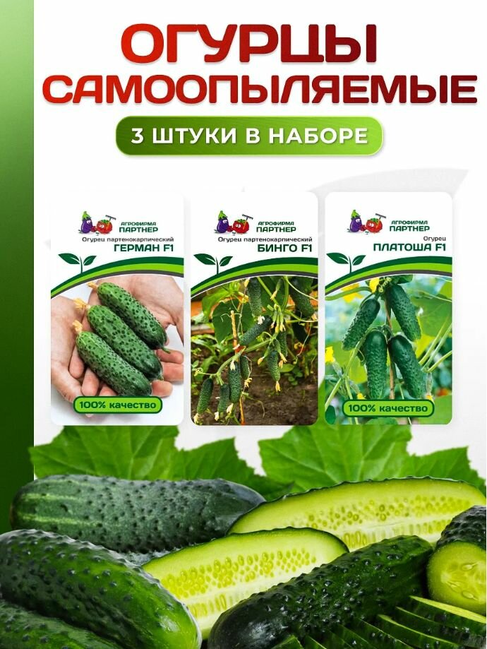 Семена набор огурцов Агрофирма партнер Герман, Бинго и Платоша, самоопыление, 3 упаковки