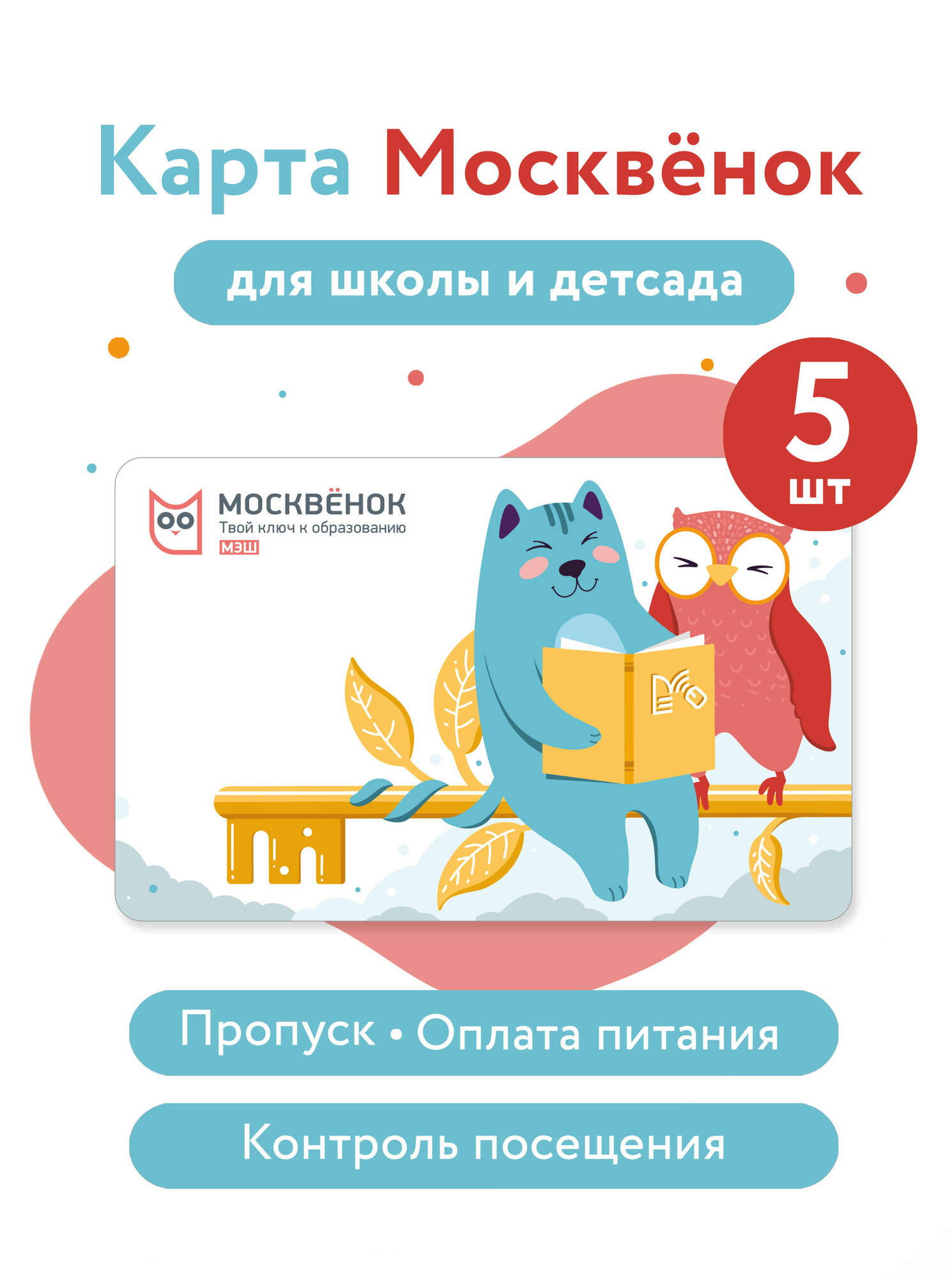 Карта Москвенок, пропуск в школу "Ключик", электронная карта школьника, 5 шт.