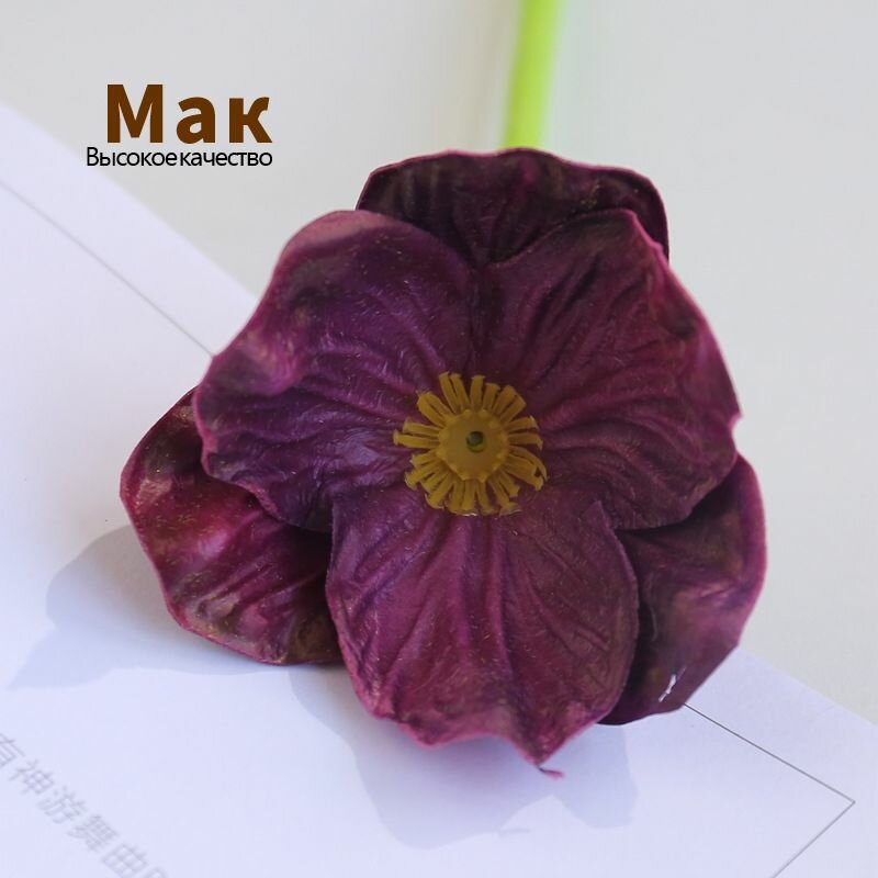 Стабилизированные цветы, мак, 32 см, 10 штук