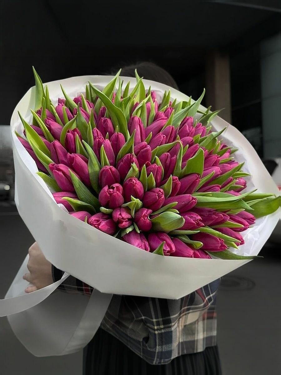 101 фиолетовый тюльпан