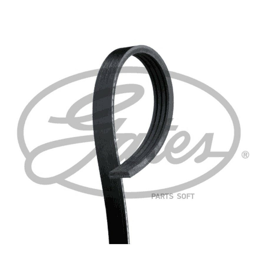 Ремень поликлиновой GATES 4PK850 | цена за 1 шт