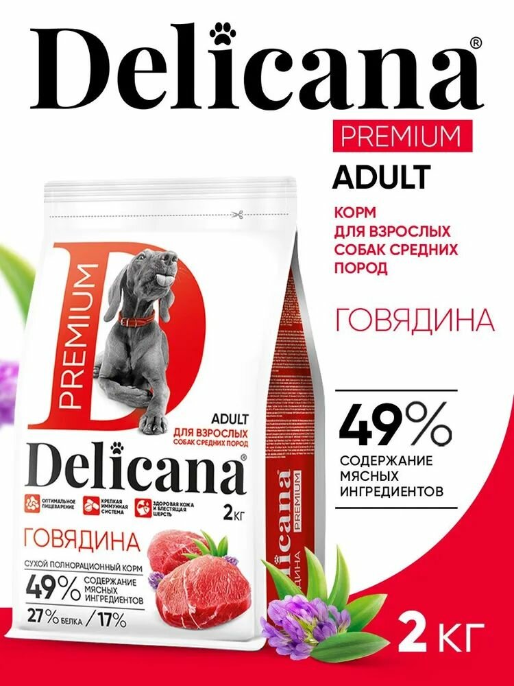 Сухой корм Delicana для взрослых собак средних пород, говядина, 2 кг