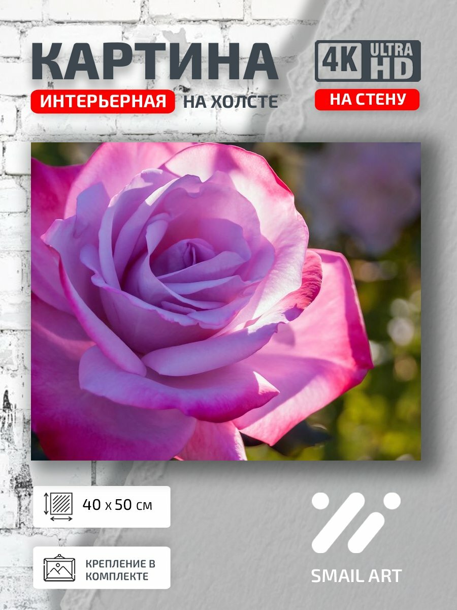 Картина на холсте интерьерная 40 на 50 на стену Лепестки Mood для кабинета атмосфера декор