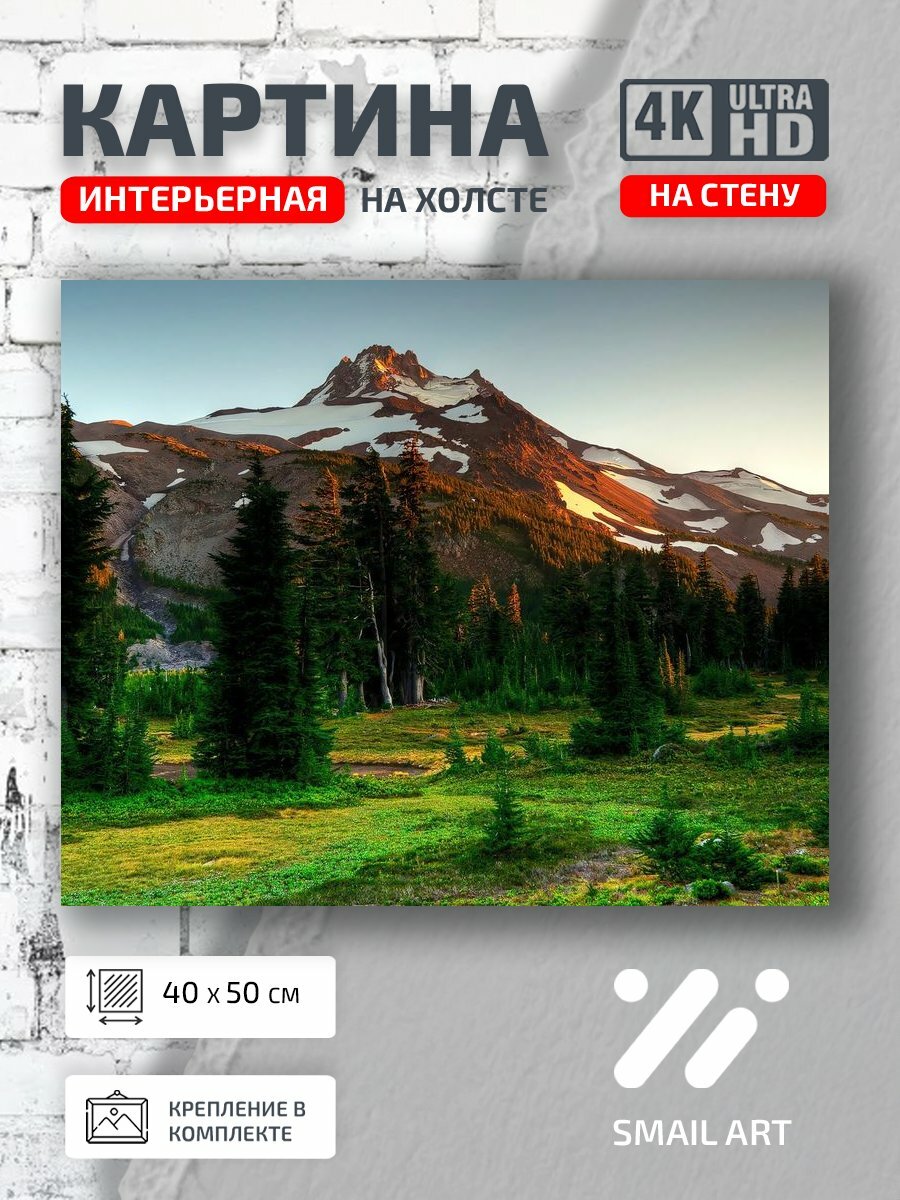 Картина на холсте интерьерная 40 на 50 на стену Поляна Landscape для спальни пейзаж декор