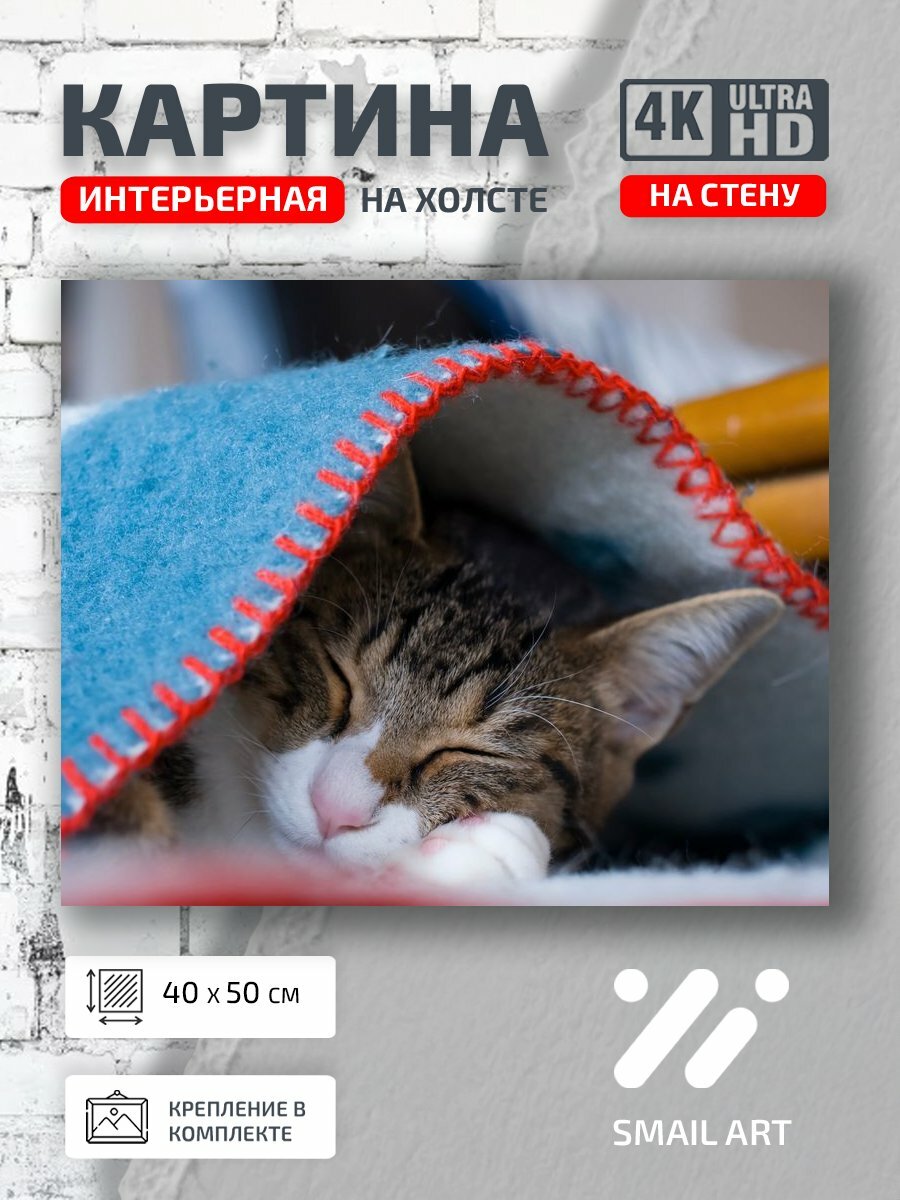 Картина на холсте интерьерная 40 на 50 на стену Спит Animal для кафе animal style интерьер