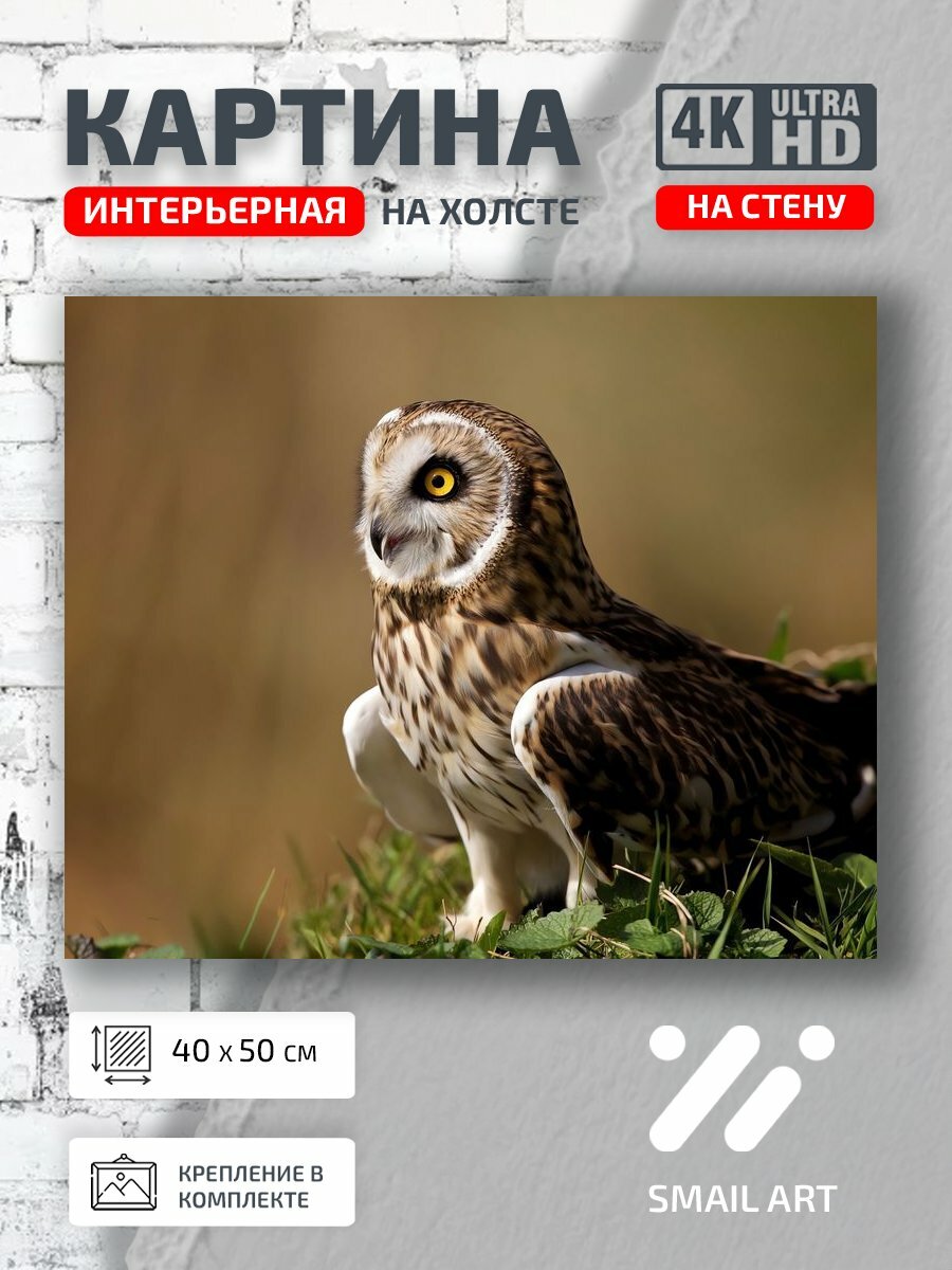 Картина на холсте интерьерная 40 на 50 на стену Крылья Animal для гостиной animal style