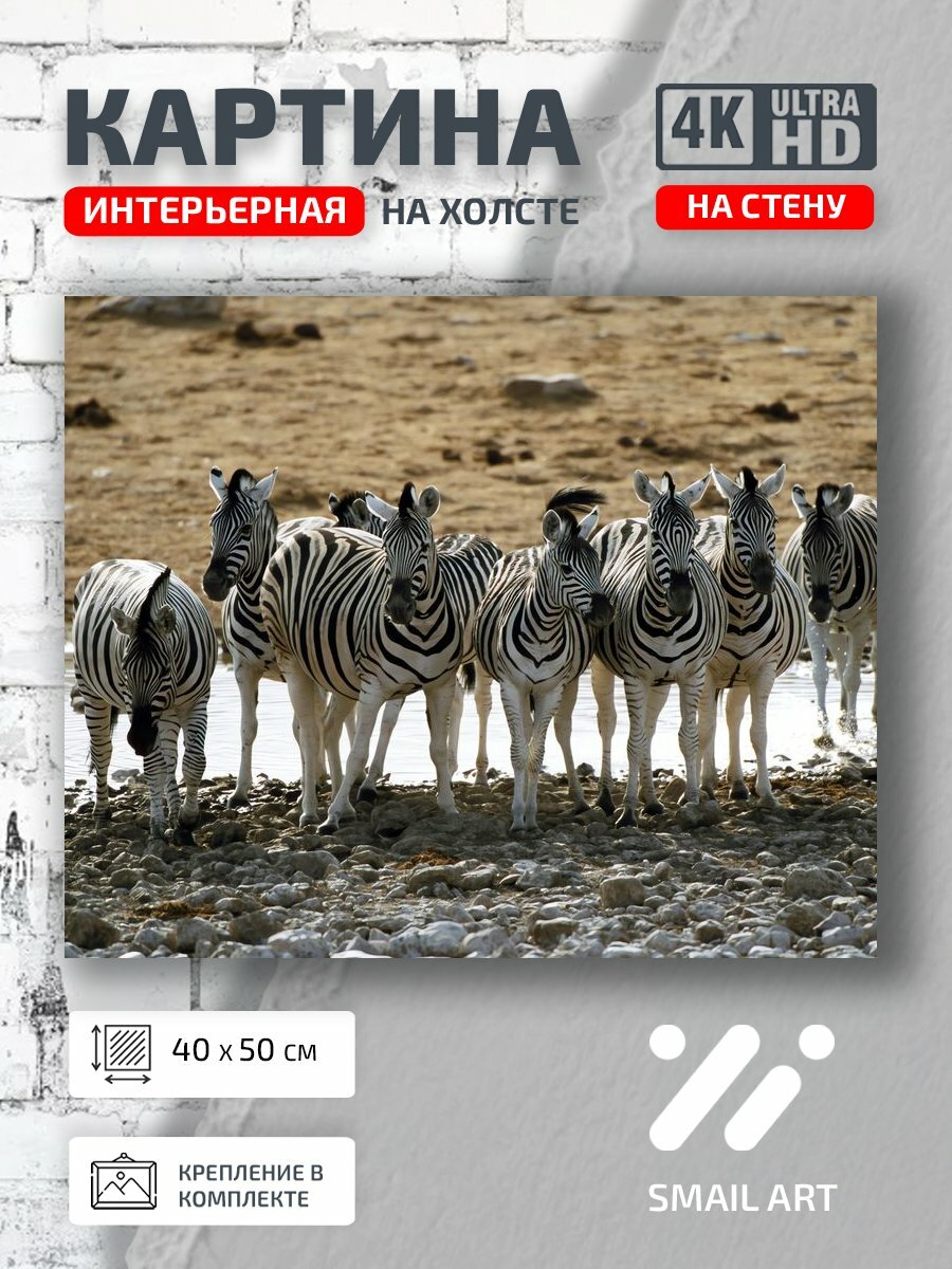 Картина на холсте интерьерная 40 на 50 на стену Водопое Mood для кабинета атмосфера декор