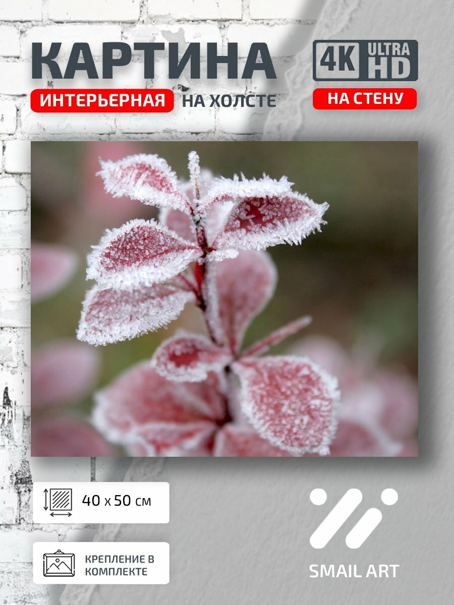Картина на холсте интерьерная 40 на 50 на стену Иней Landscape для кафе пейзаж интерьер