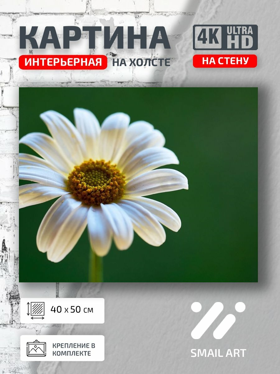 Картина на холсте интерьерная 40 на 50 на стену Фон Macro для спальни макро интерьер декор