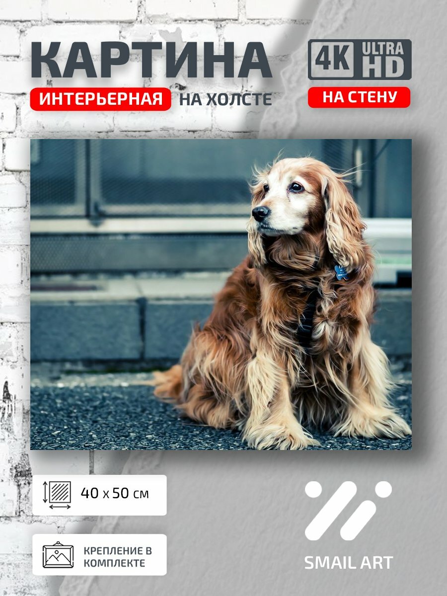 Картина на холсте интерьерная 40 на 50 на стену Собака Mood для студии атмосфера интерьер