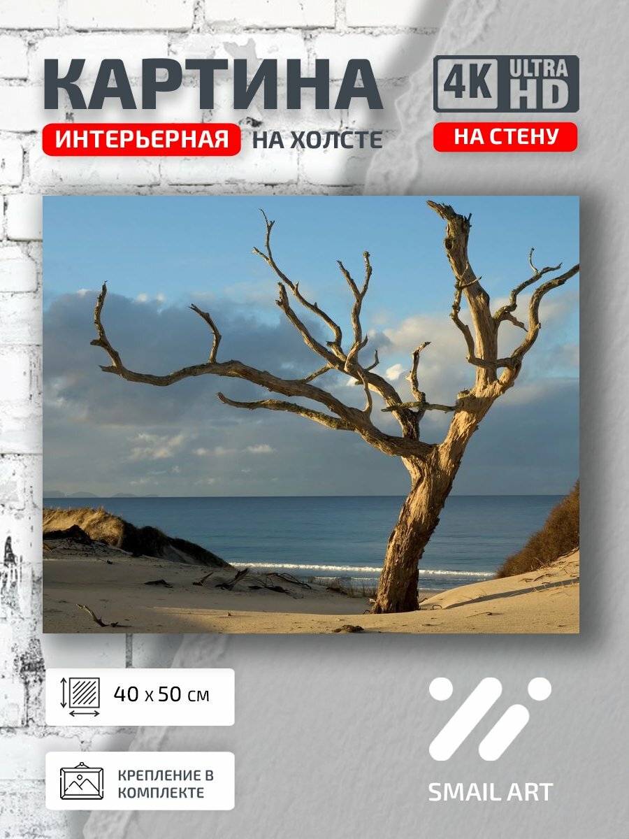 Картина на холсте интерьерная 40 на 50 на стену Дерево Landscape для офиса пейзаж интерьер
