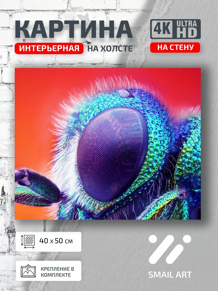 Картина на холсте интерьерная 40 на 50 на стену Глаз Macro для офиса макро интерьер декор