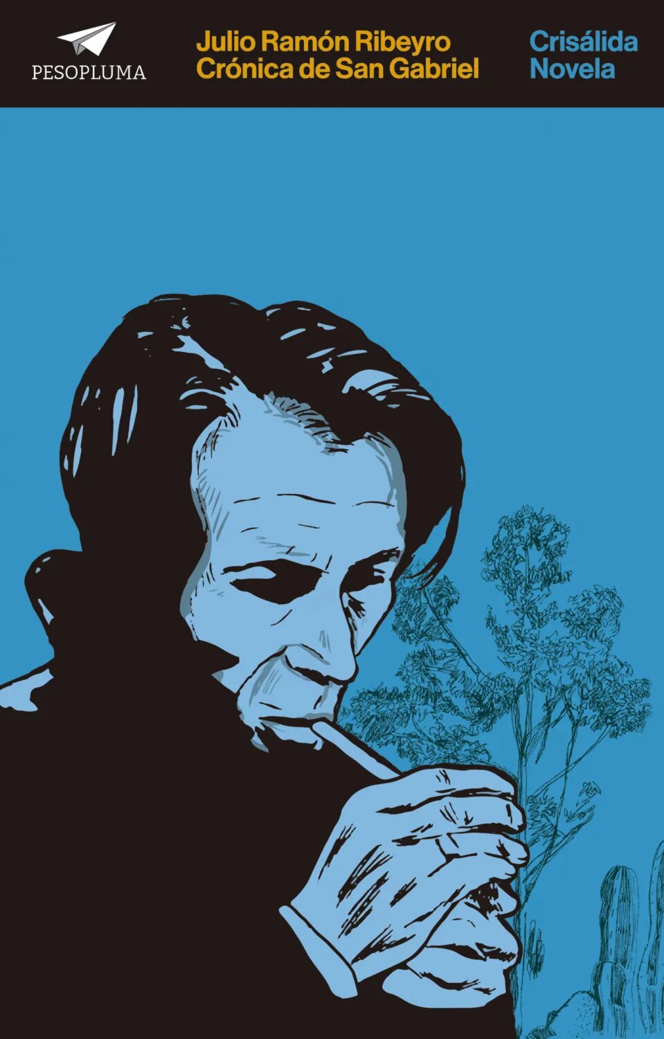 Crónica de San Gabriel [Цифровая книга]