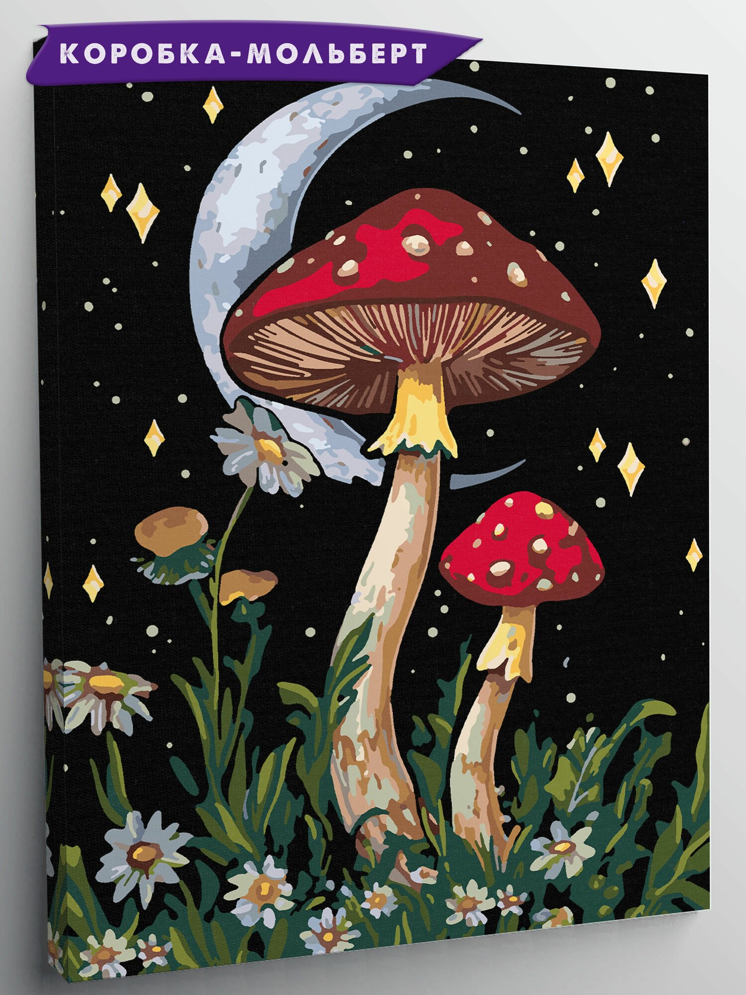 Картина по номерам, холст на подрамнике - Волшебные грибы - Мухоморы 30х40см.